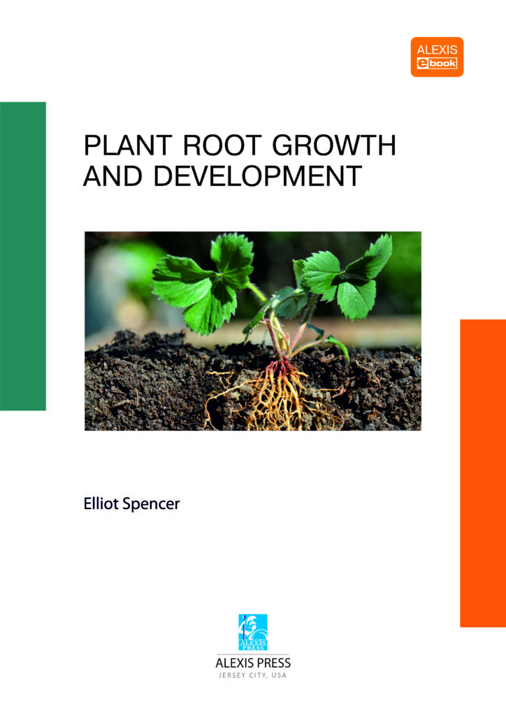 Plant Root Growth And Development | Pixel EdTech