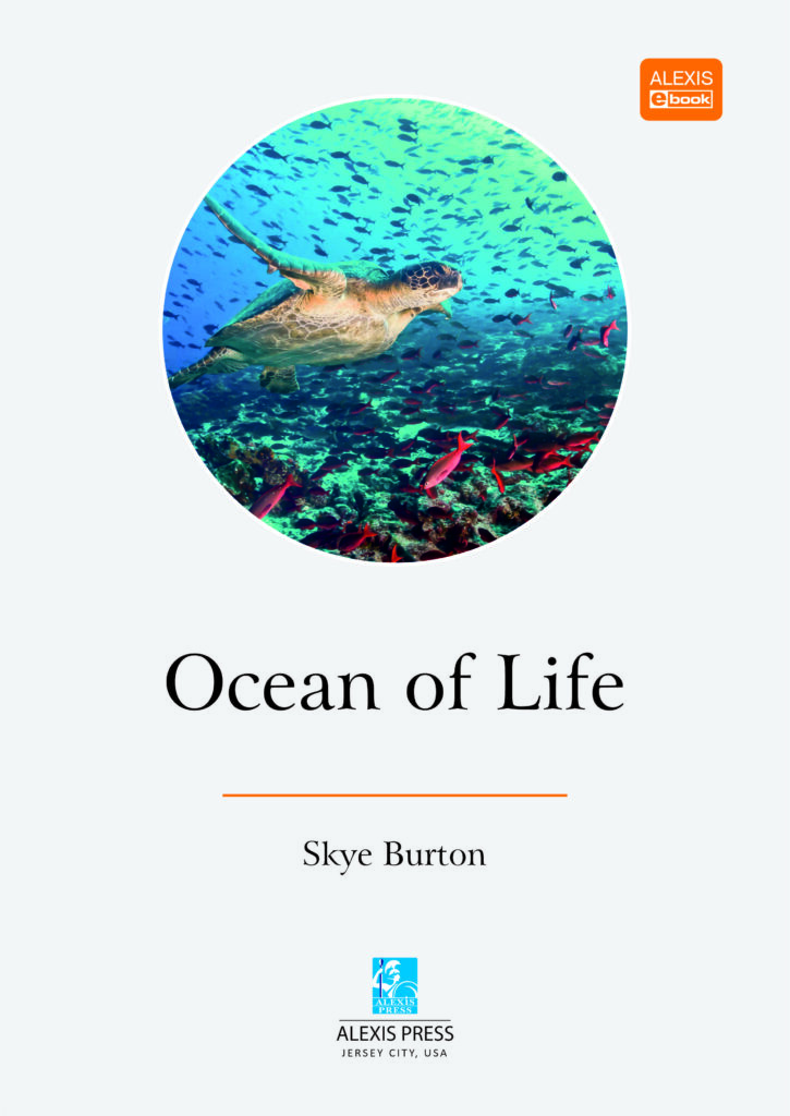 Ocean of Life | Pixel EdTech