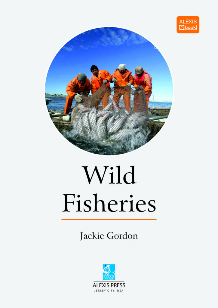 Wild Fisheries | Pixel EdTech