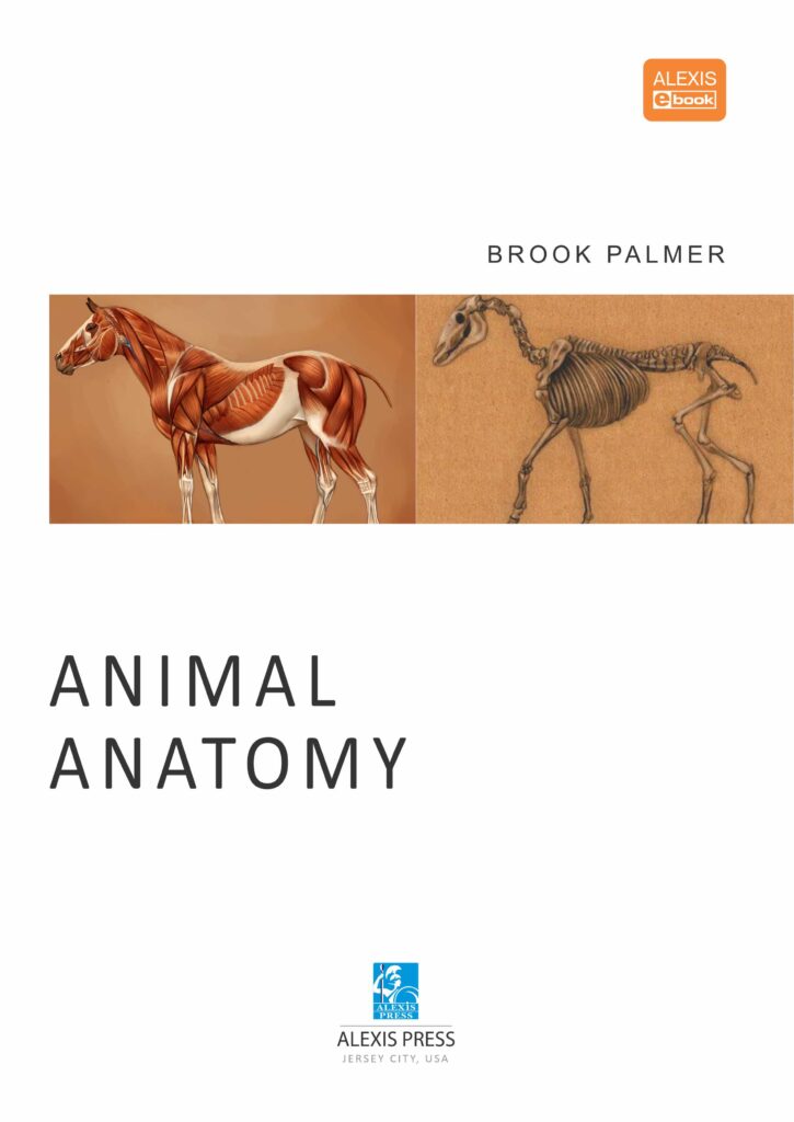 Animal Anatomy | Pixel EdTech